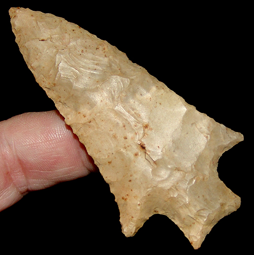 Artifacts Guide- Wicked Pickwick